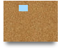 Confederation - lino